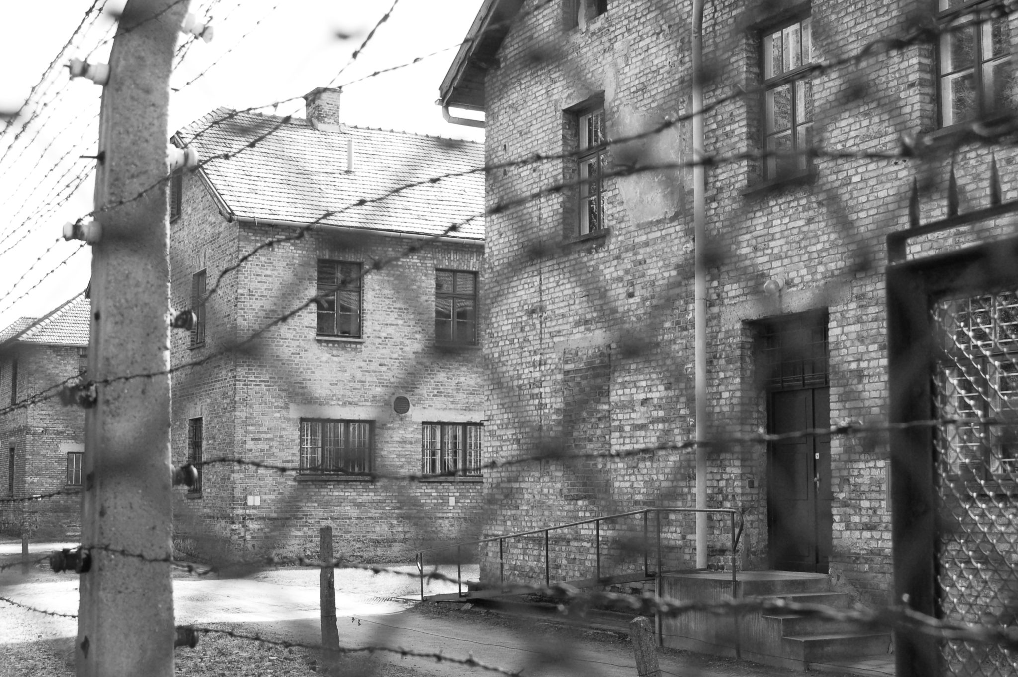 Het verhaal achter Wilhelm Brasse: de fotograaf van Auschwitz